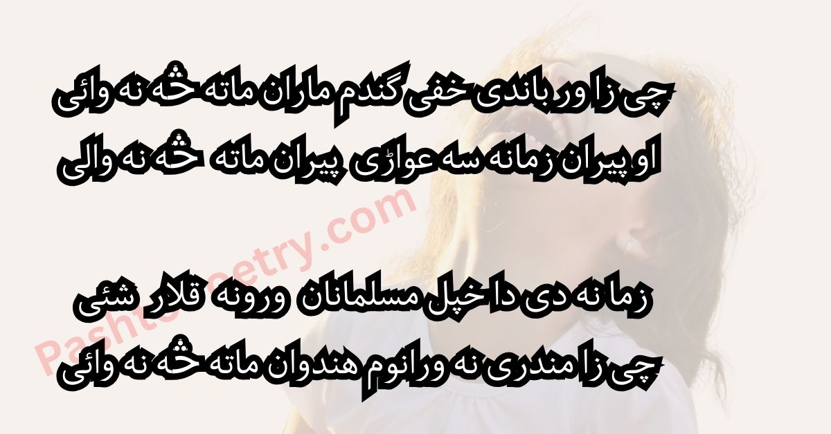 100 Pashto Poetry Text 2024 - Pashto Poetry